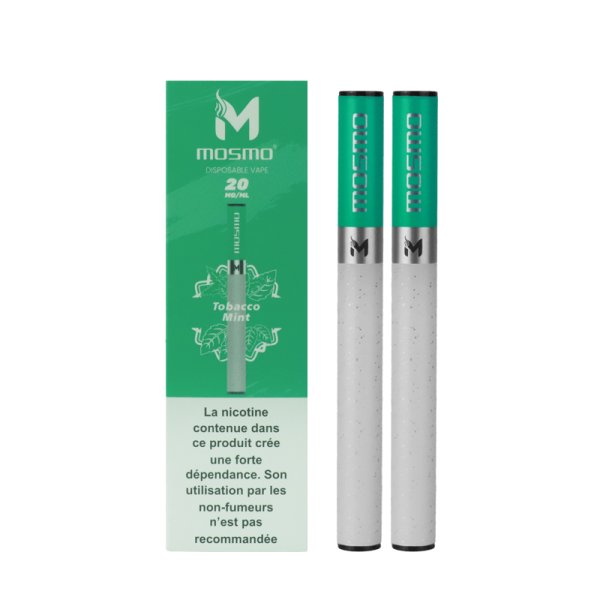 Puff Stick Tobacco Mint 20mg ( 2pcs) - Mosmo